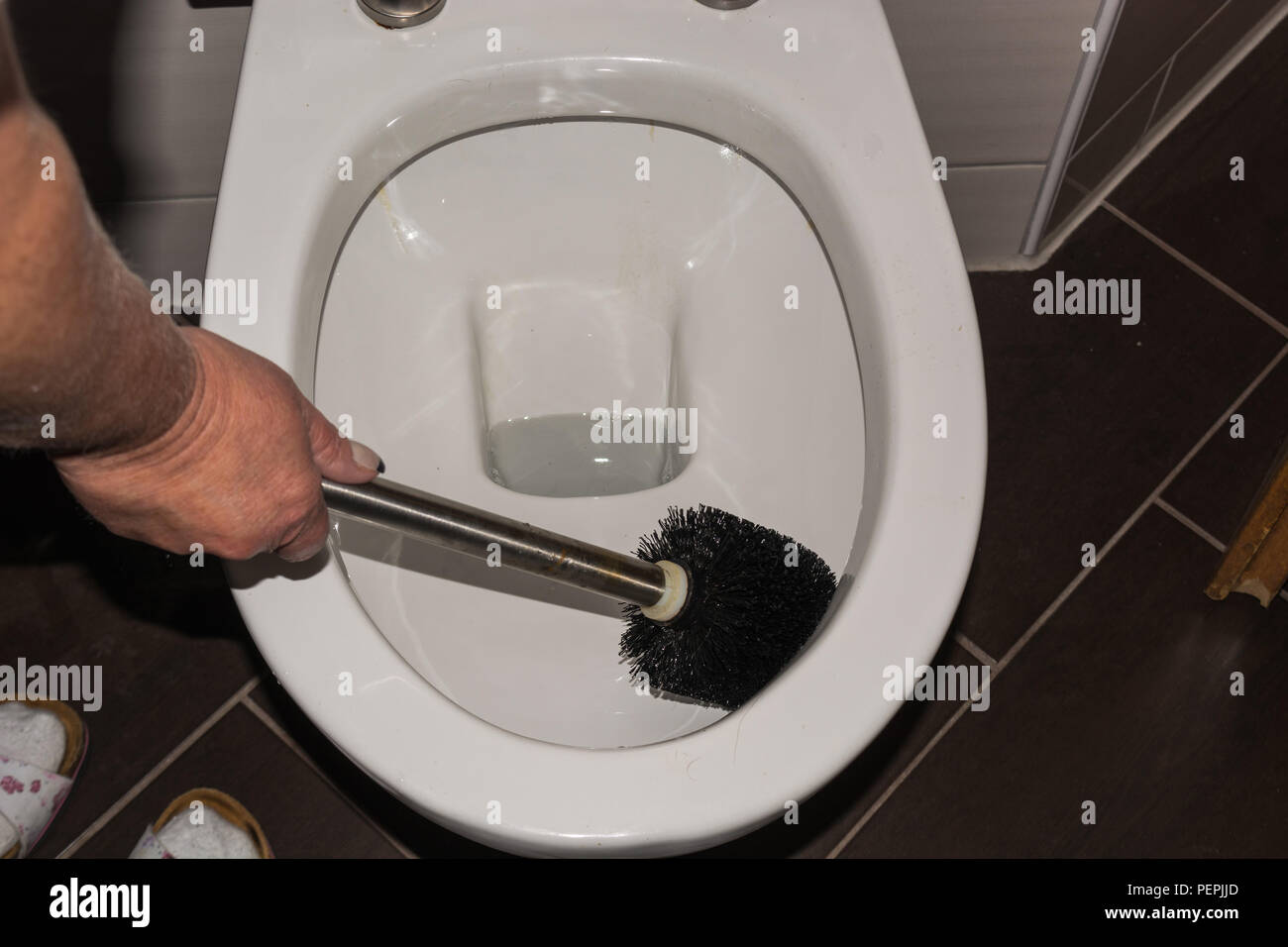Cleaning a toilet with a toilet brush Stock Photo - Alamy