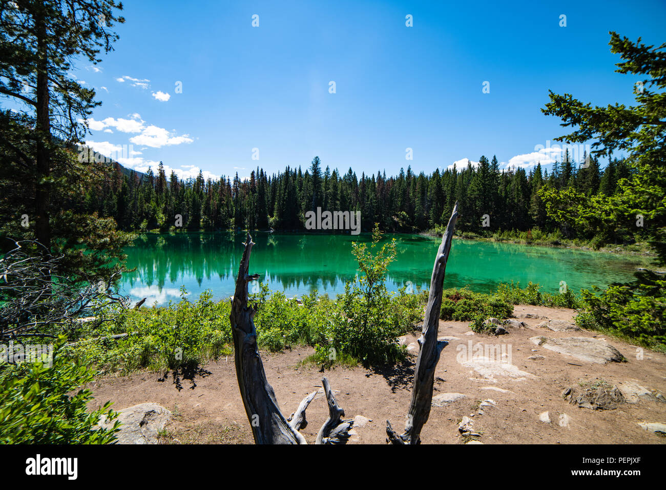 Breathtaking views of Jasper National Park Stock Photo - Alamy