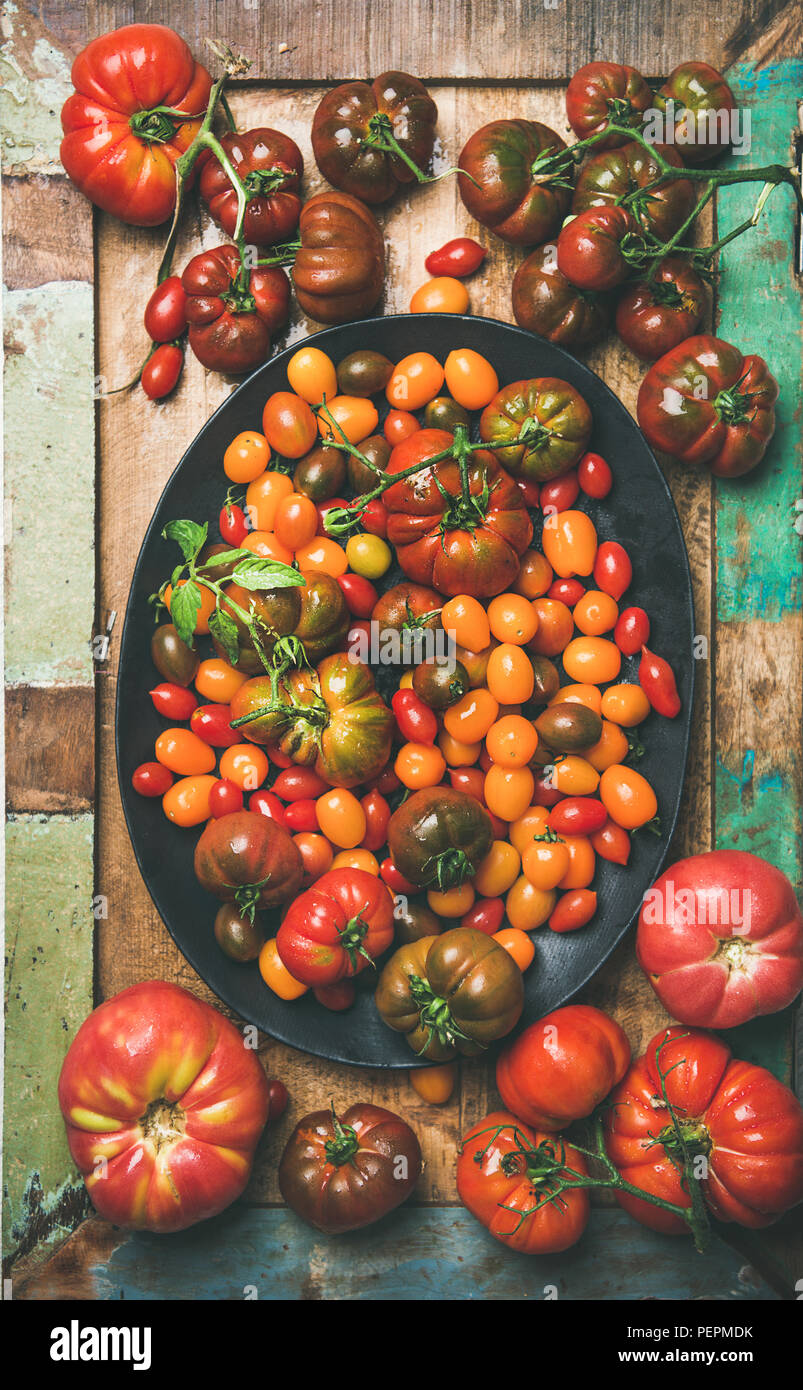 Tomato Plant Leaf High Resolution Stock Photography and Images - Alamy