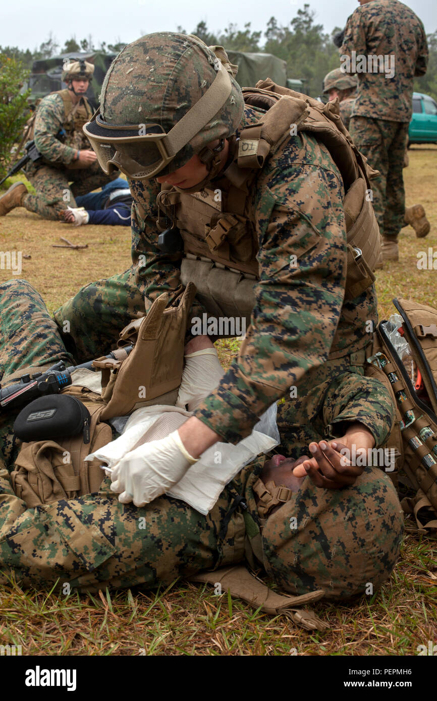 A Navy corpsman with Combat Logistics Battalion 31, 31st Marine ...