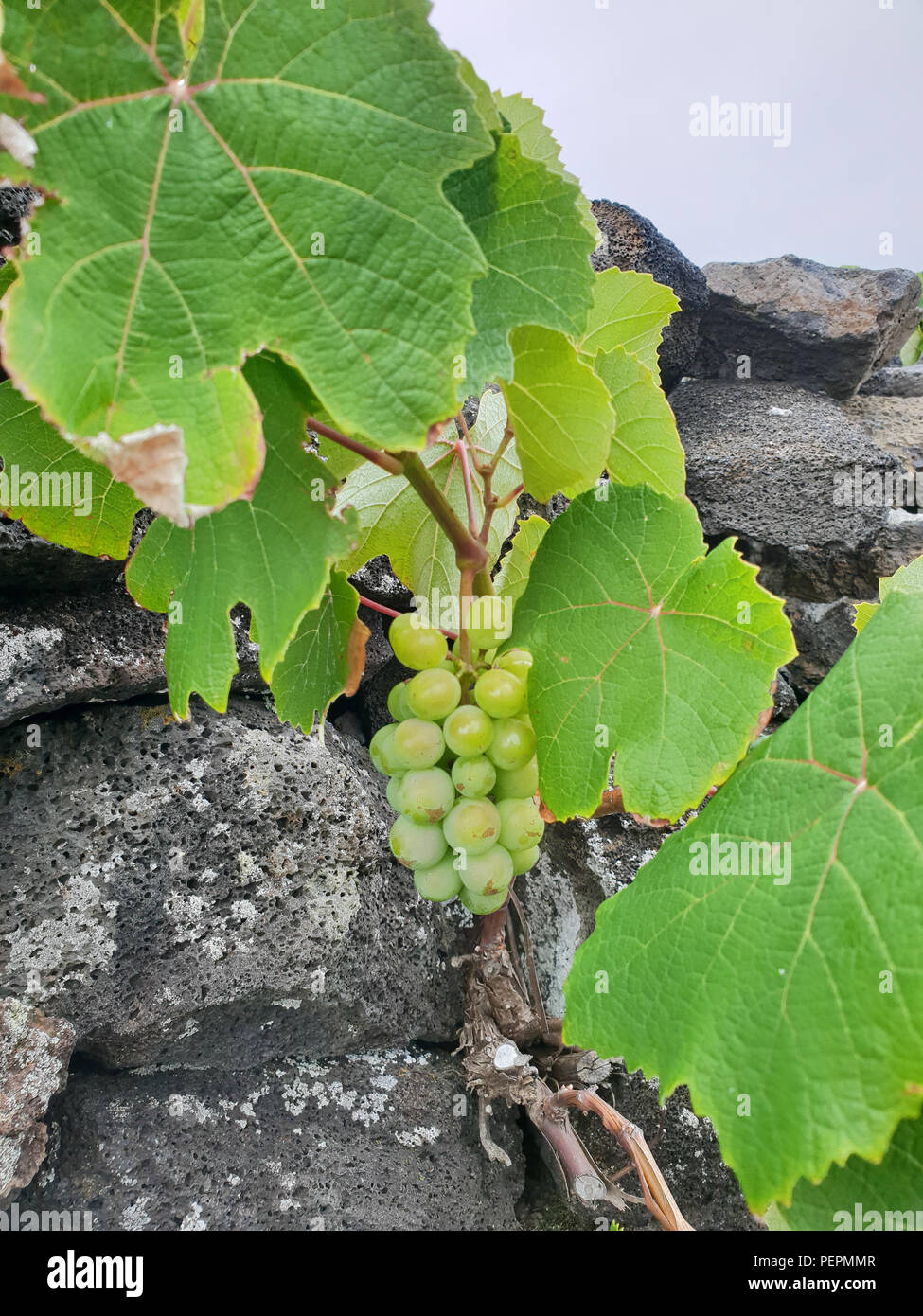 Lava poster hi-res stock photography and images - Alamy