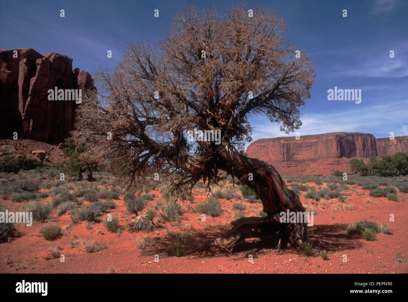 Landscape of Monument Valley, Utah, USA Stock Photo - Alamy