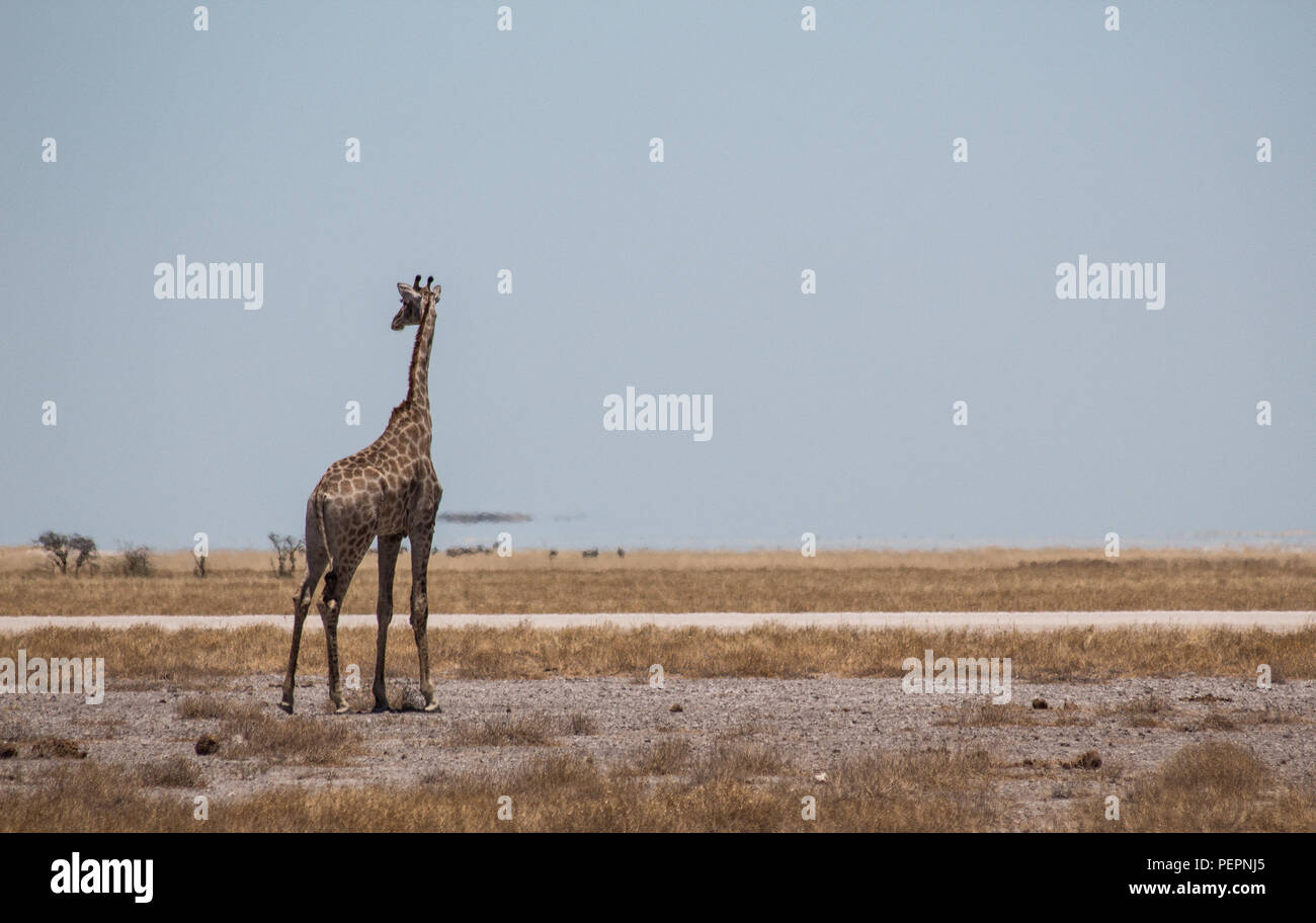 Wild open landscape hi-res stock photography and images - Alamy