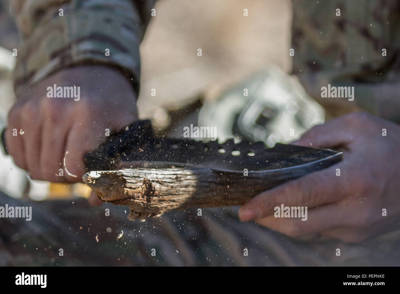 A Desert Warrior school instructor, Iron Training Detachment, 1st ...