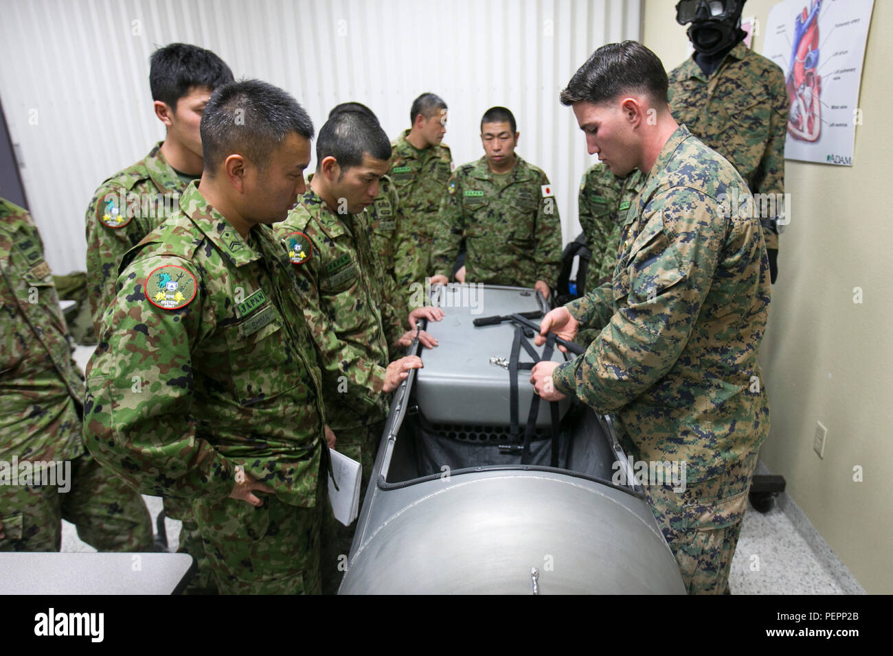 Sergeant James Chirdo, a reconnaissance man with 1st Reconnaissance Bn ...