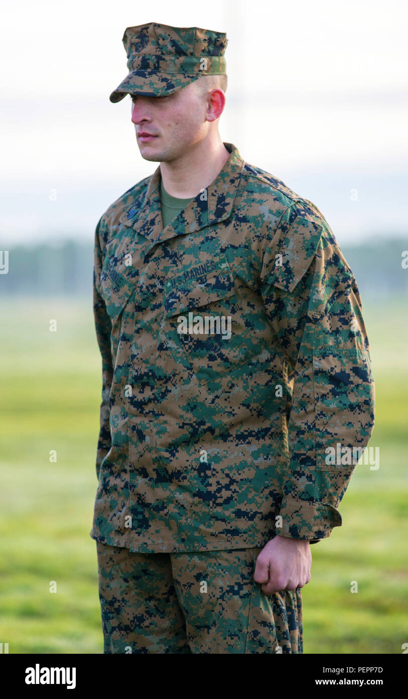 U.S. Marine Corps Sgt. Matthew A. Sprankle is awarded the Navy and ...