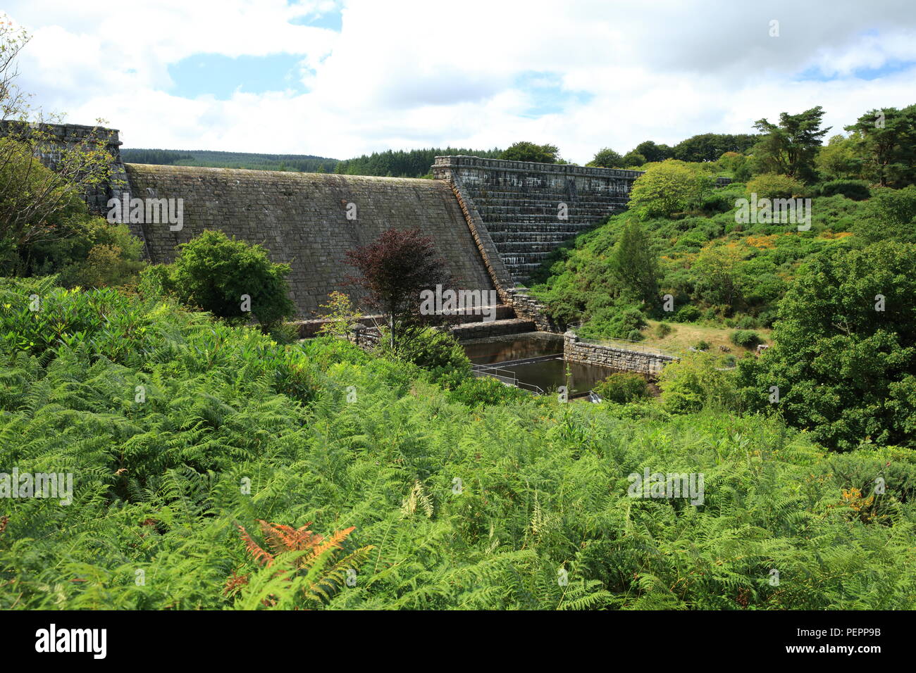Fernworthy reservoir dam, Dartmoor National Park, Devon, England, UK ...