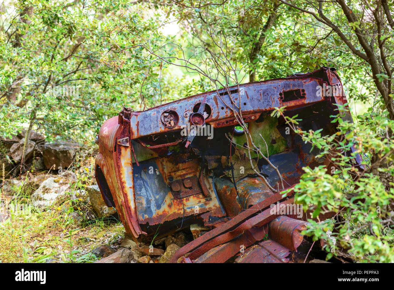 Rusty car wreck abandoned in a wood. Rusty details of the interiors ...
