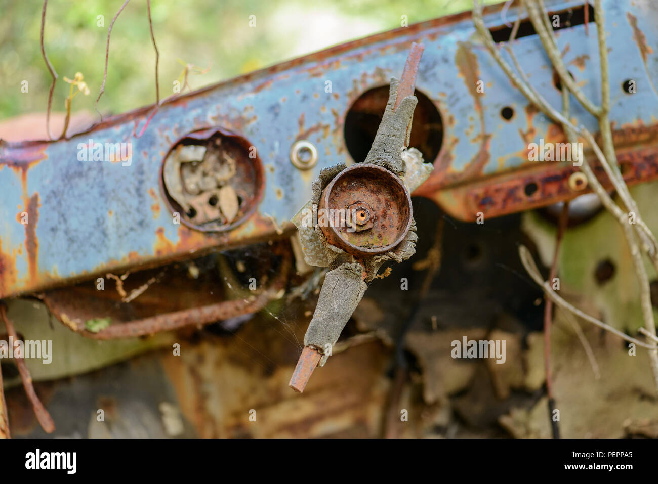 Rusty car wreck abandoned in a wood. Rusty details of the interiors ...