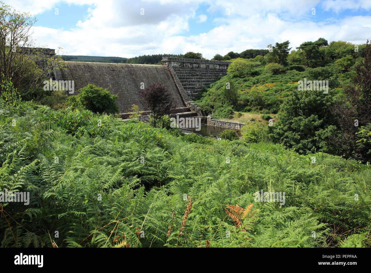Fernworthy reservoir dam, Dartmoor National Park, Devon, England, UK ...