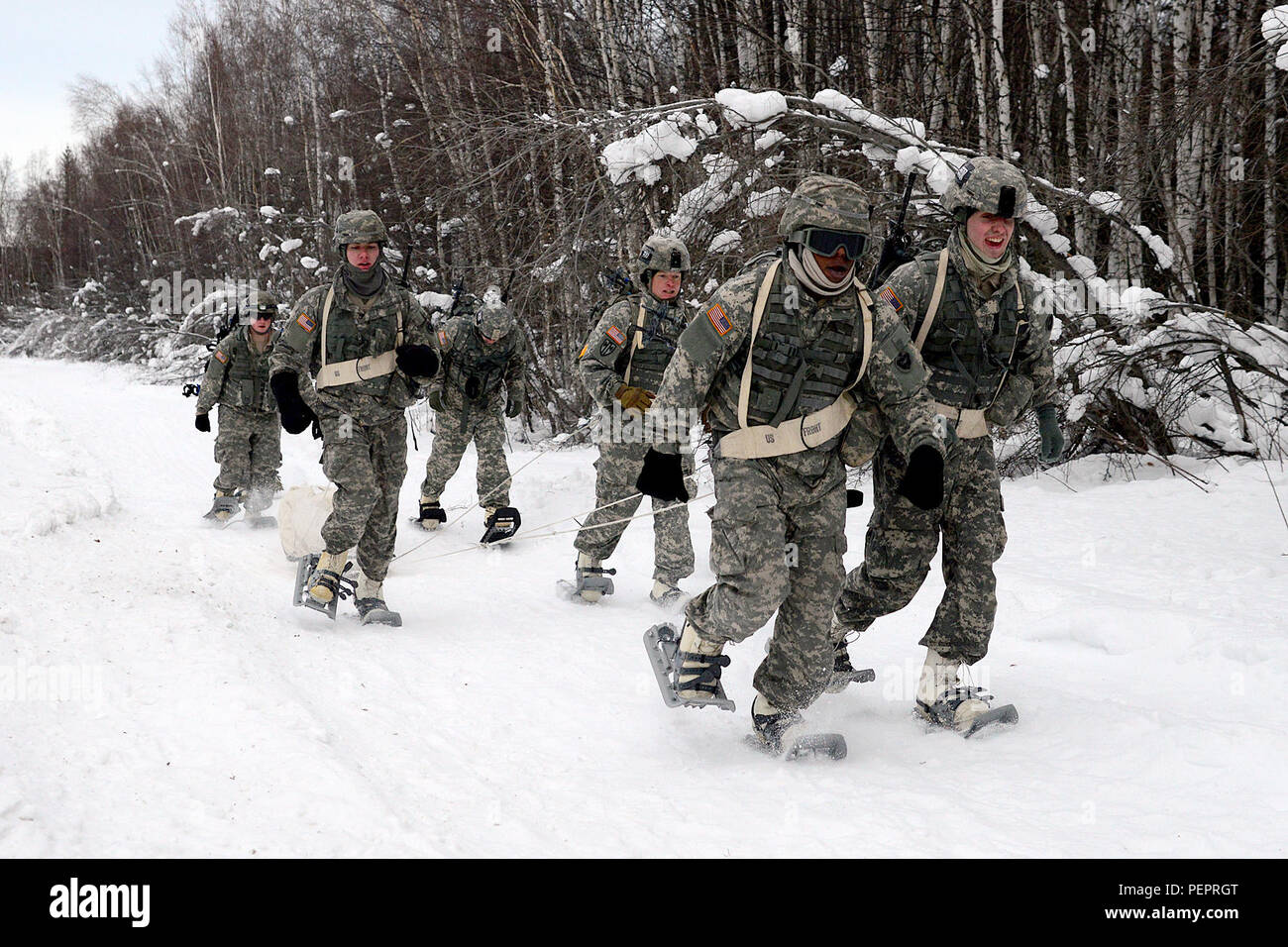 Ahkio Sled High Resolution Stock Photography and Images - Alamy
