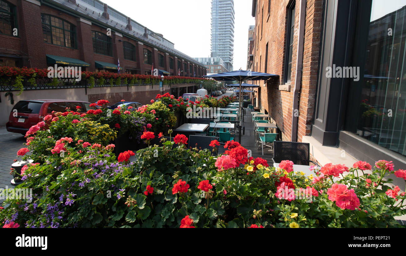 Barsa Taberna in Toronto is a bright, artsy Spanish eatery with a ...