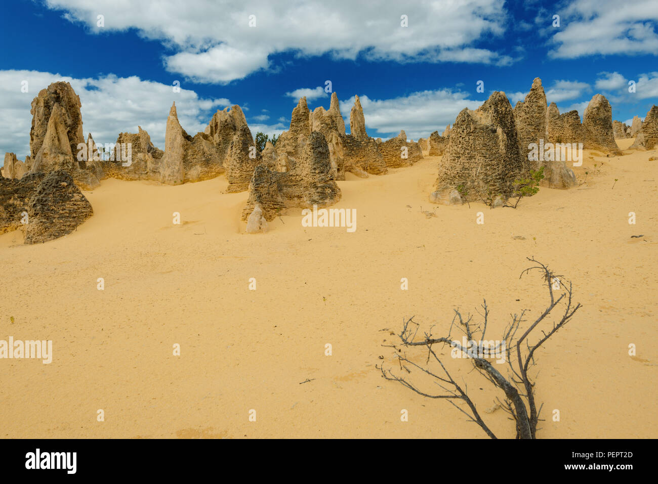 Bizzar stone formations in Pinnacles desert, Nambung National Park ...