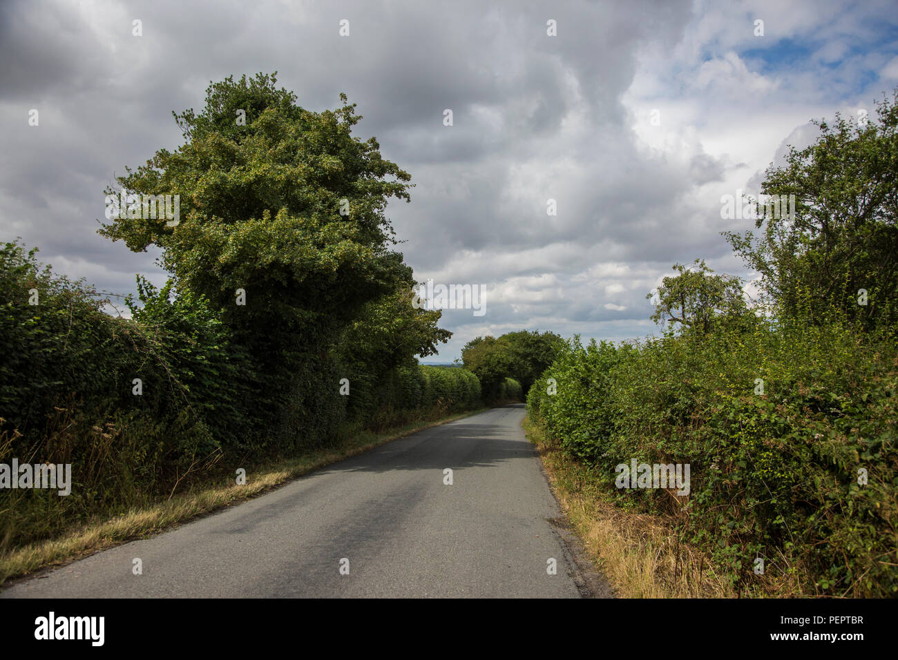 country lane in England on a summers day with trees either side of the ...