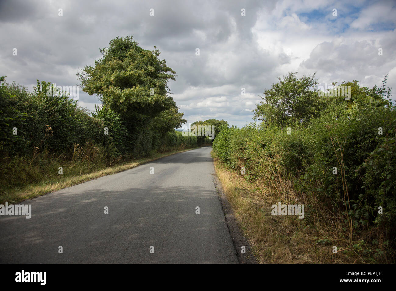 country lane in England on a summers day with trees either side of the ...