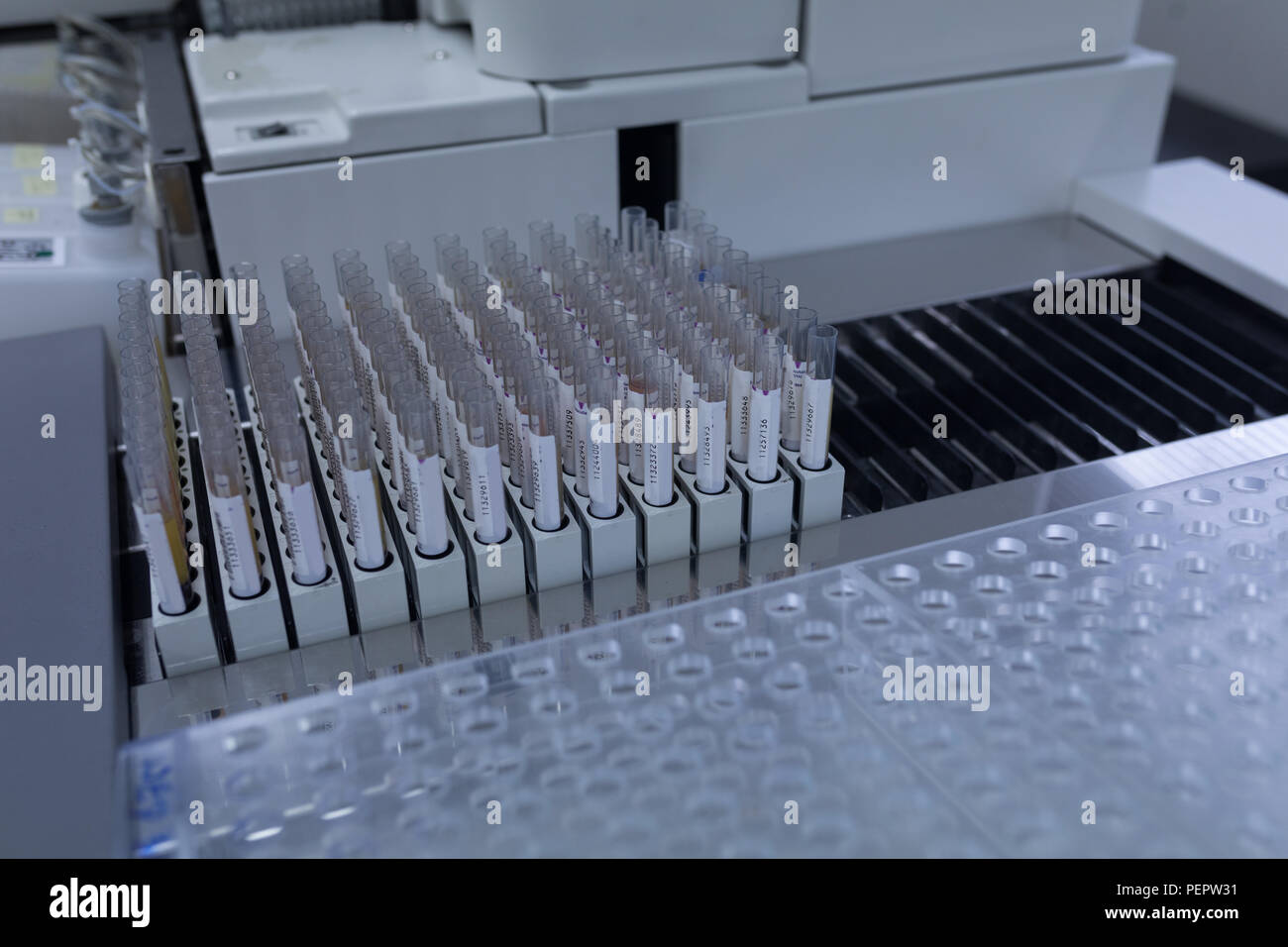 Test tube in rack at blood bank Stock Photo - Alamy