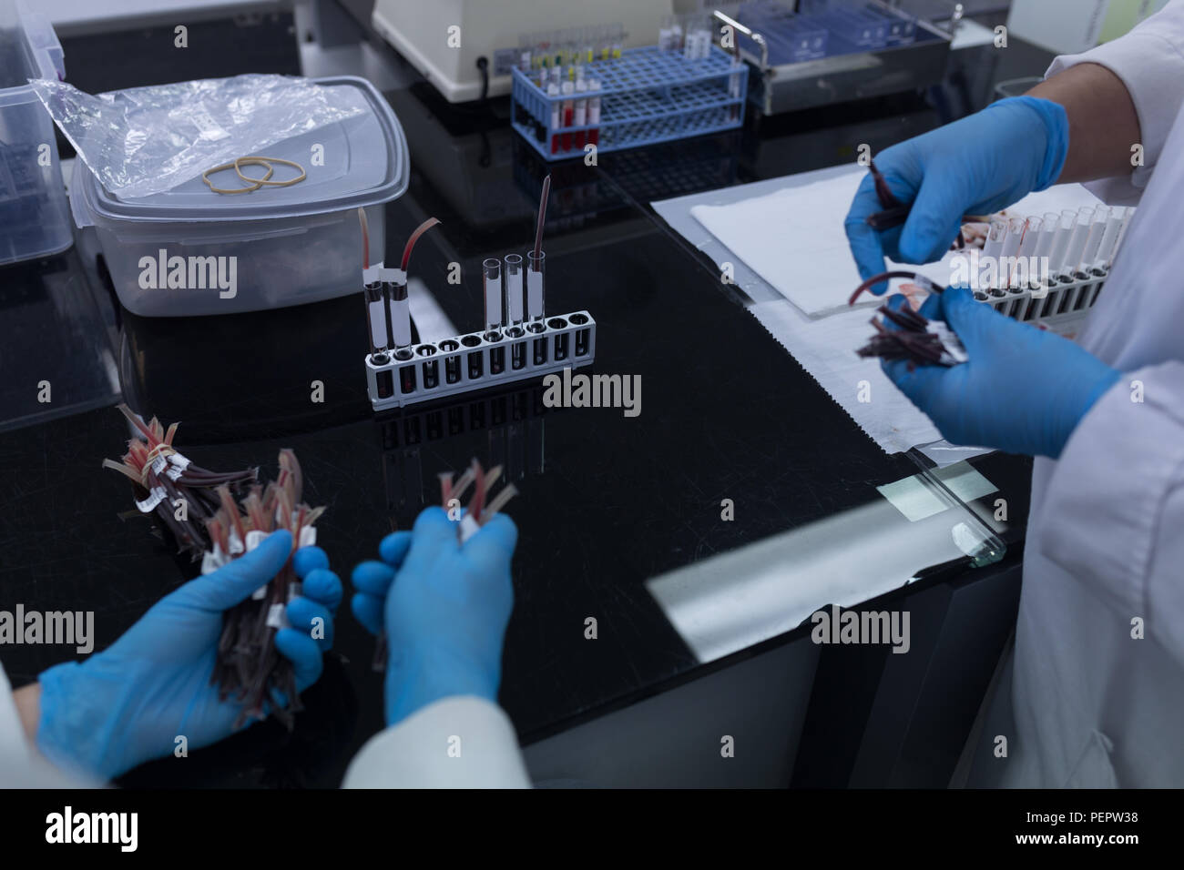 Laboratory technicians holding tags in blood bank Stock Photo - Alamy