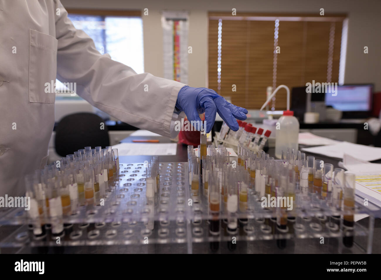 Laboratory technician analyzing chemical solution Stock Photo - Alamy