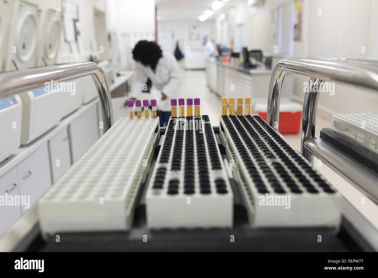 Bag rack hi-res stock photography and images - Alamy