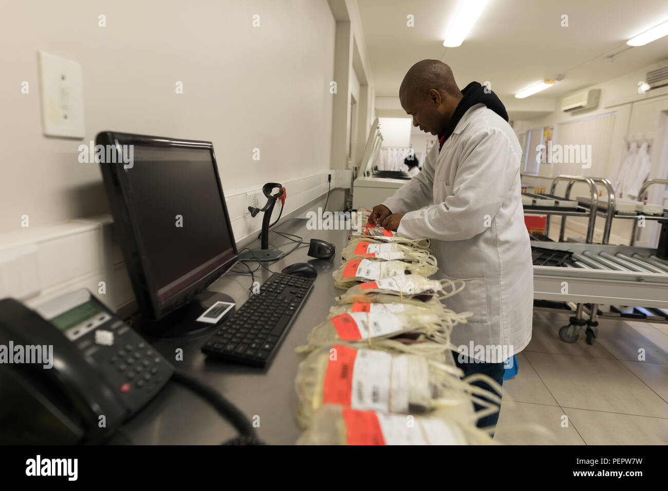 Laboratory technician analyzing plasma bags Stock Photo - Alamy
