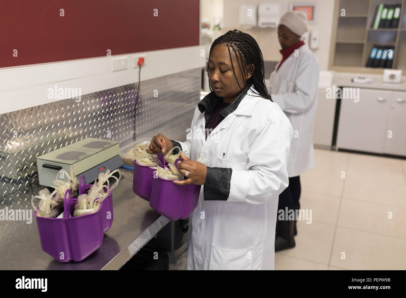 Laboratory technician analyzing blood bags Stock Photo - Alamy
