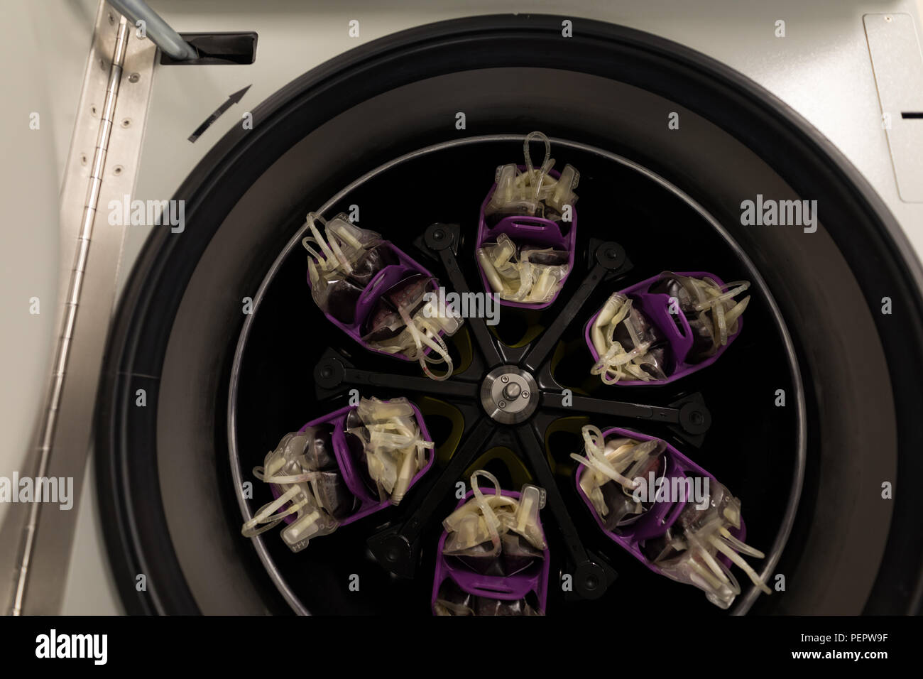 Inside bags hi-res stock photography and images - Alamy