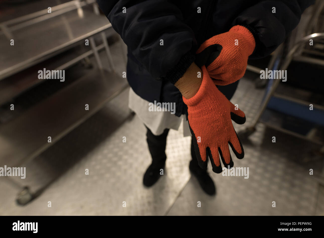 Laboratory technician wearing gloves in blood bank Stock Photo - Alamy