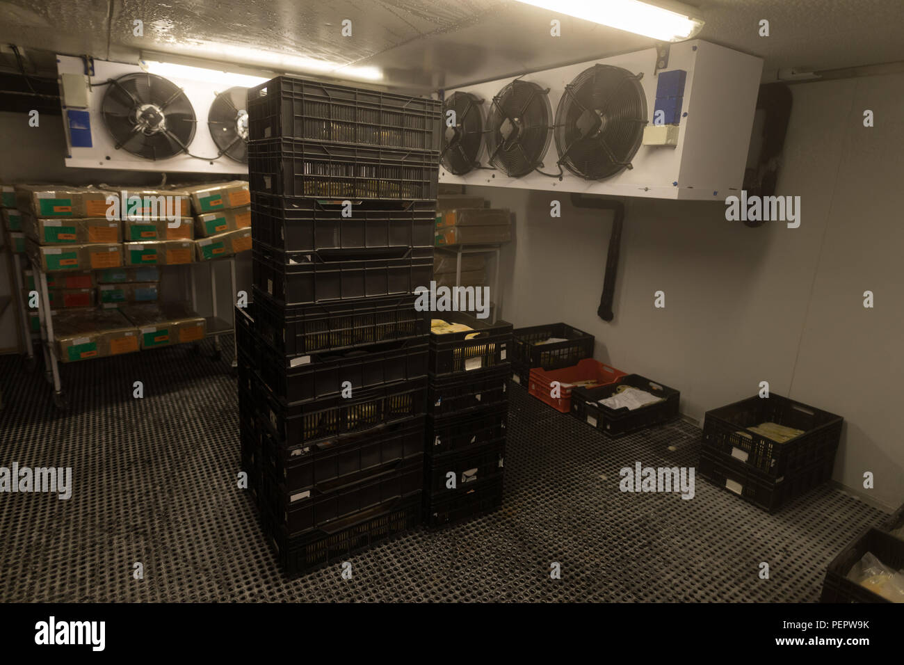 Crates with blood bags arranged in blood bank Stock Photo - Alamy