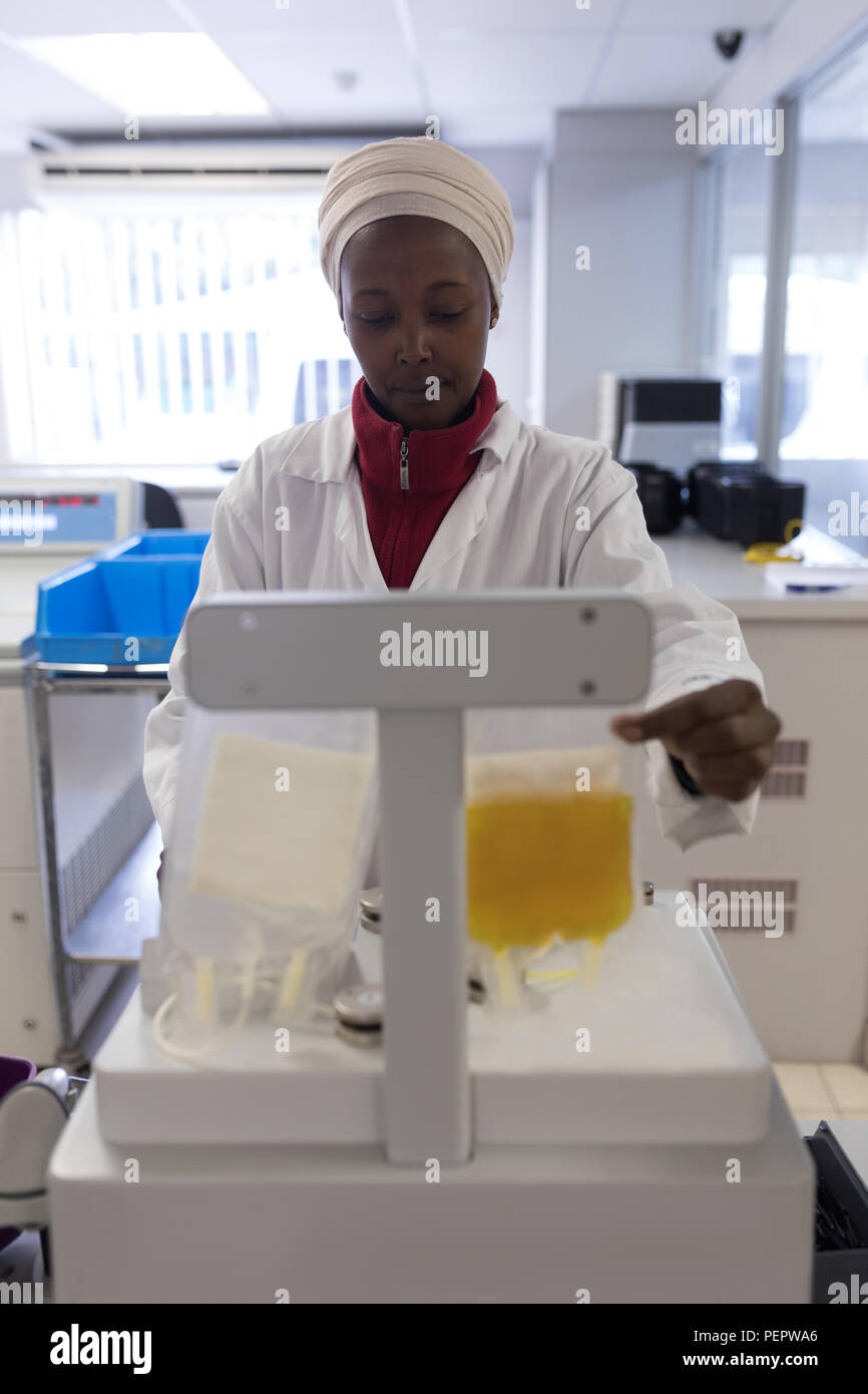 Laboratory technician checking weight of plasma bags Stock Photo - Alamy