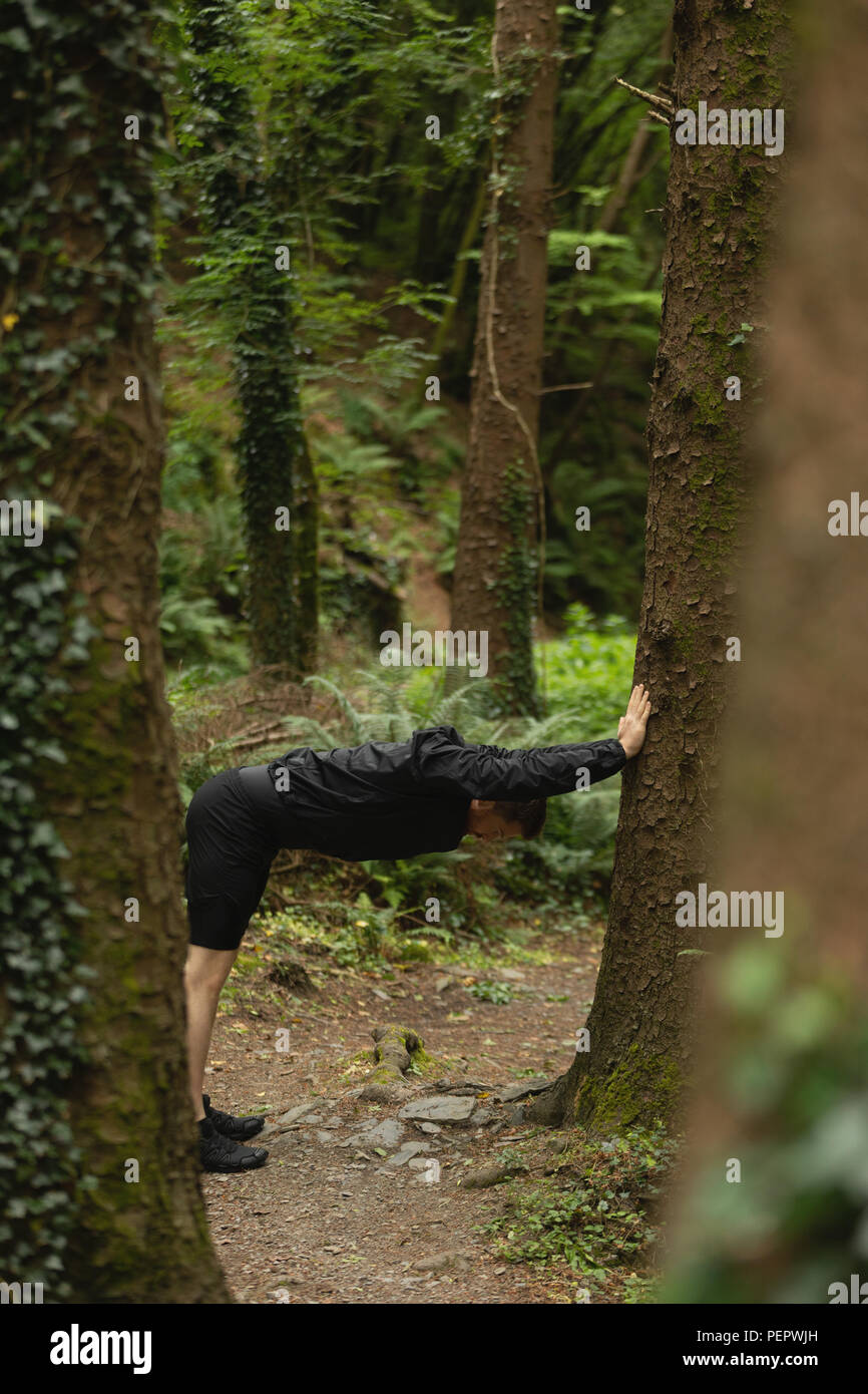 Stretching trunk hi-res stock photography and images - Alamy