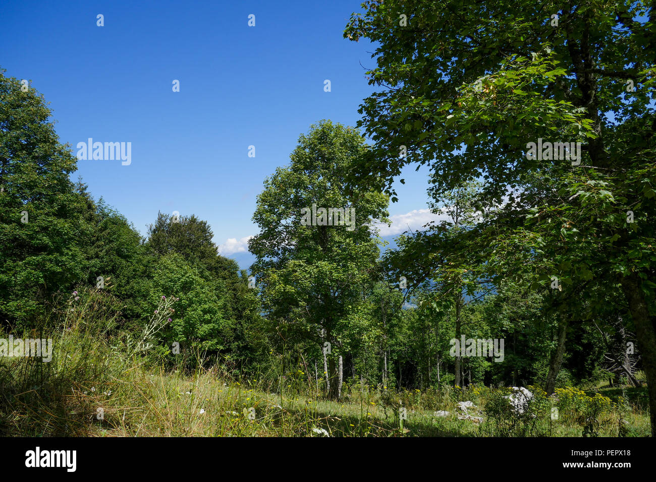 Landscape in medium mountain zone, Chartreuse range, Isere, France ...