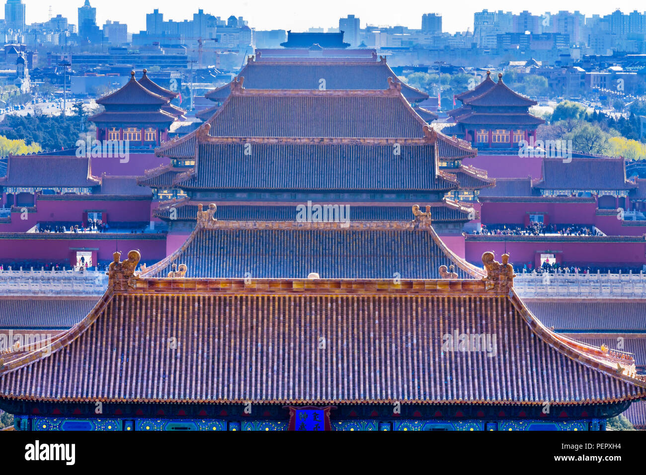 Yellow Roofs Forbidden City Beijing China Taken from Jinshang Park ...