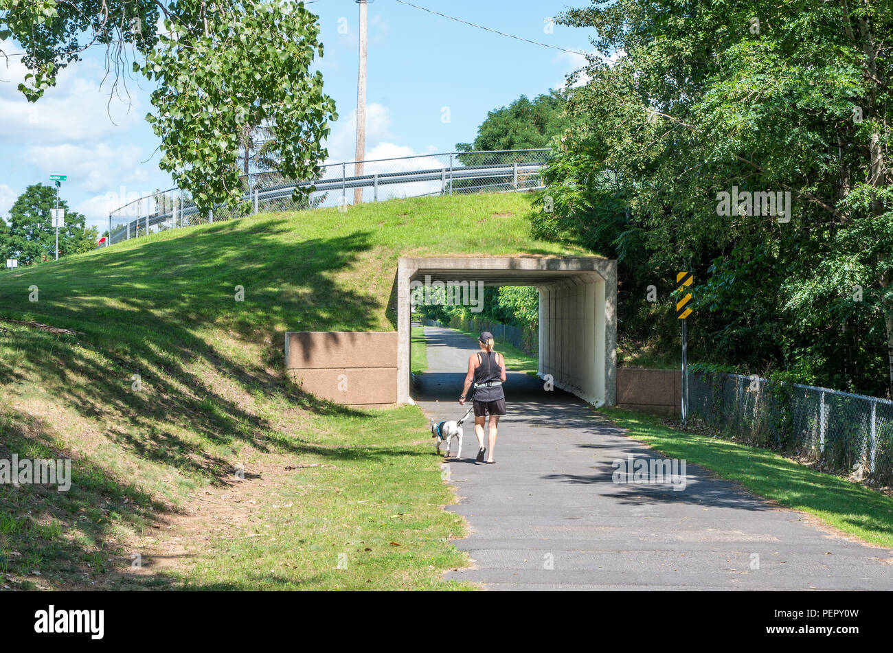 Blond woman walking on a bike path with her white spotted dog Stock ...