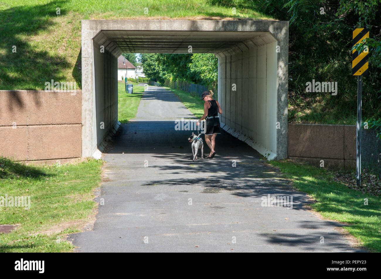 Blond woman walking on a bike path with her white spotted dog Stock ...