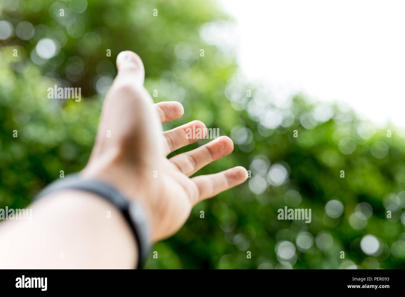 Hand reaching out over green natural light background Stock Photo - Alamy