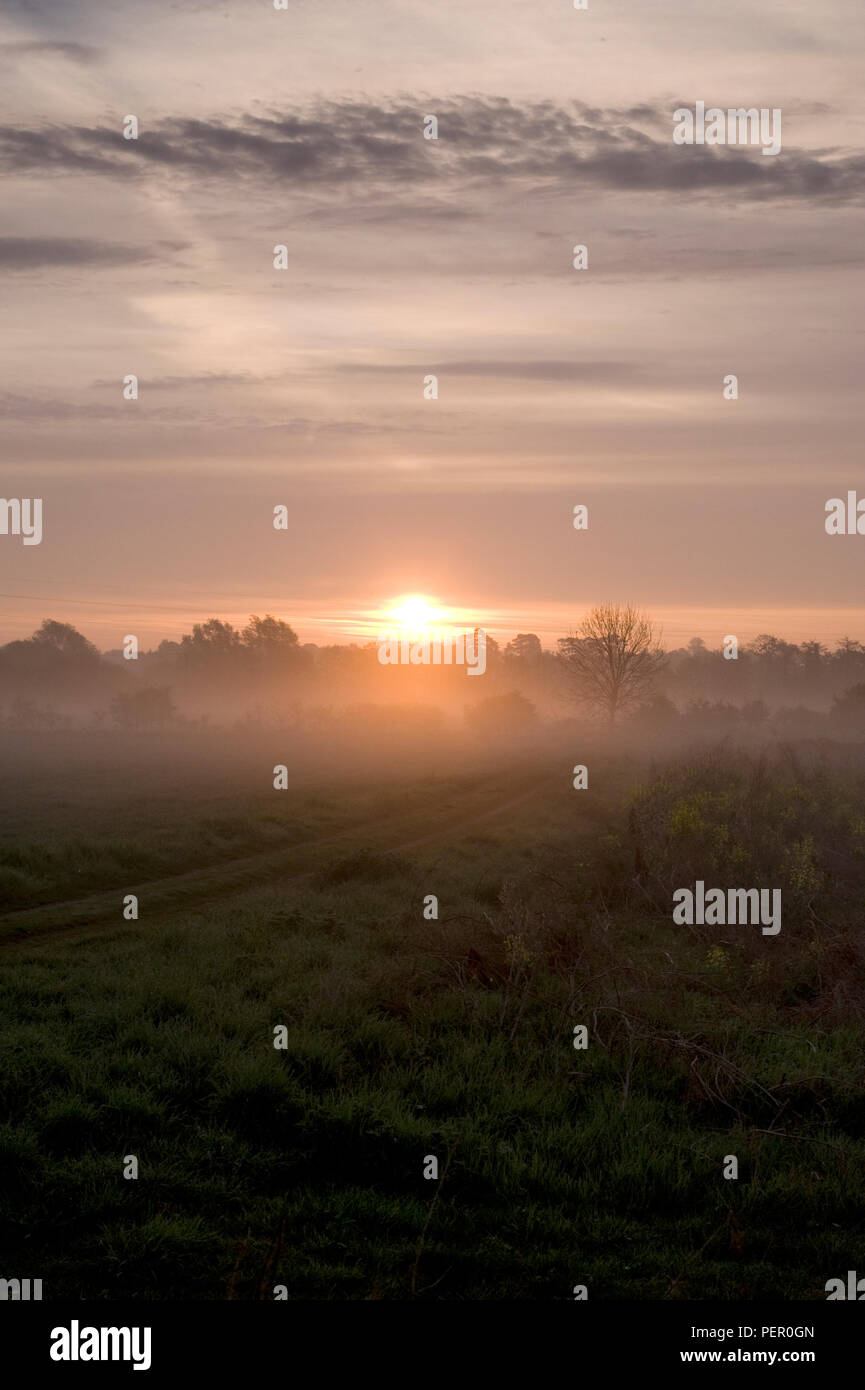 Sun rising over fields in Oxfordshire, UK Stock Photo - Alamy