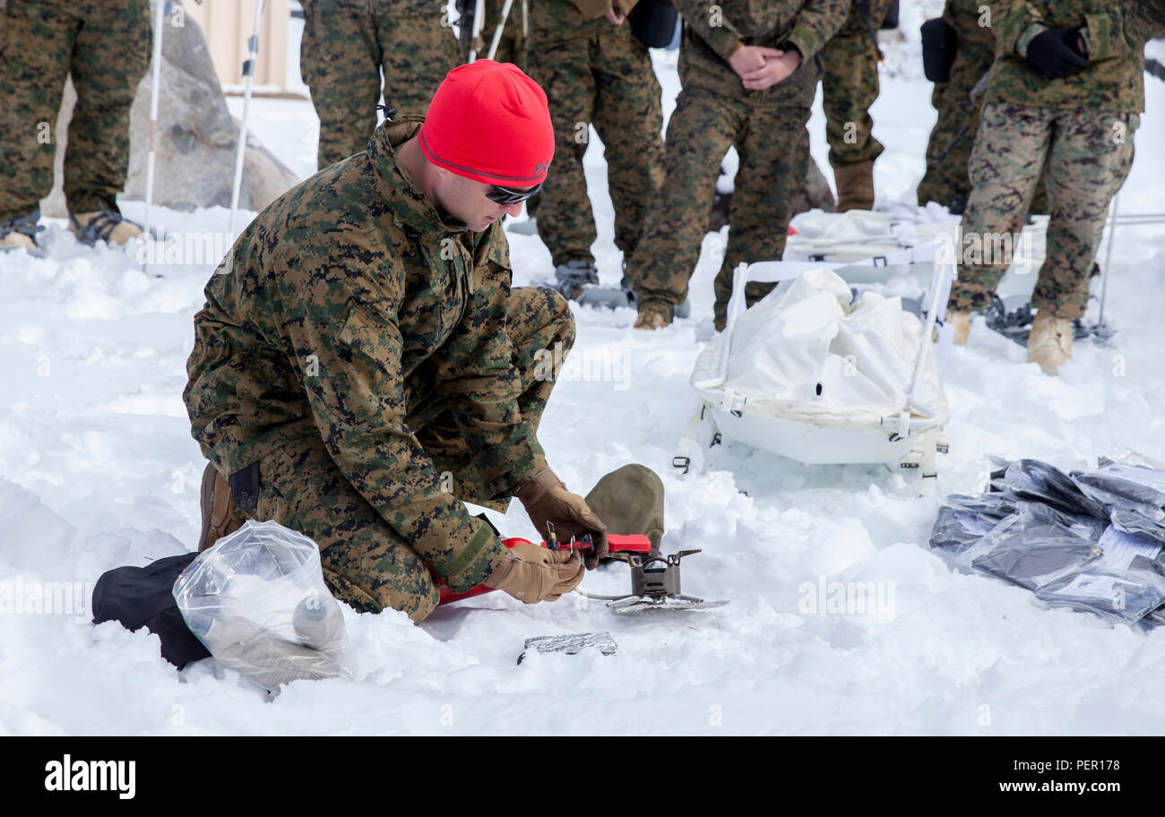 U.S. Marine Corps SSgt. Cameron S. Golden, a Mountain Warfare Training ...