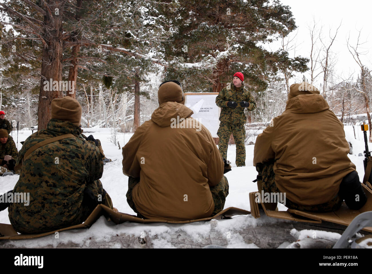U.S. Marines with 2D Assault Amphibian Battalion and 2D Low Altitude ...