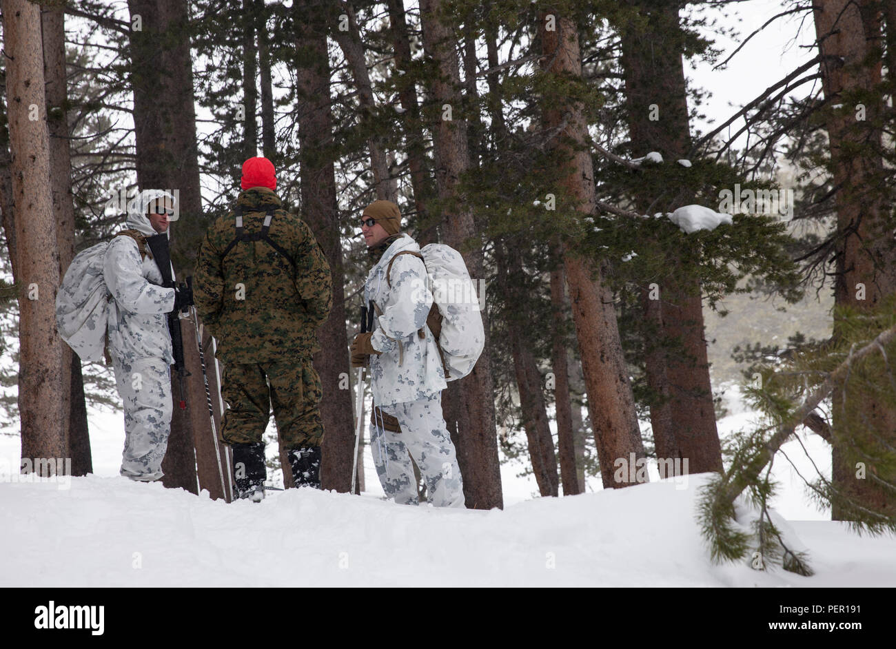 Practice ambush techniques hi-res stock photography and images - Alamy