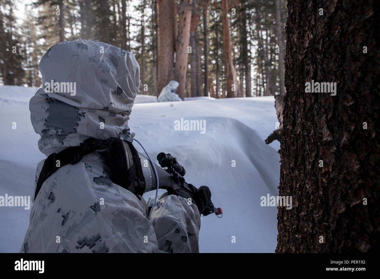 U.S. Marines with 2D Assault Amphibian Battalion and 2D Low Altitude ...