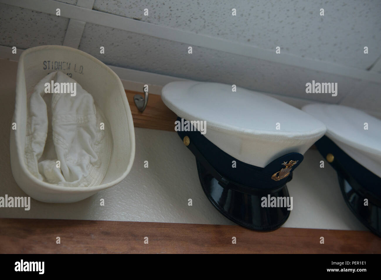 Ashley cutter hi-res stock photography and images - Alamy