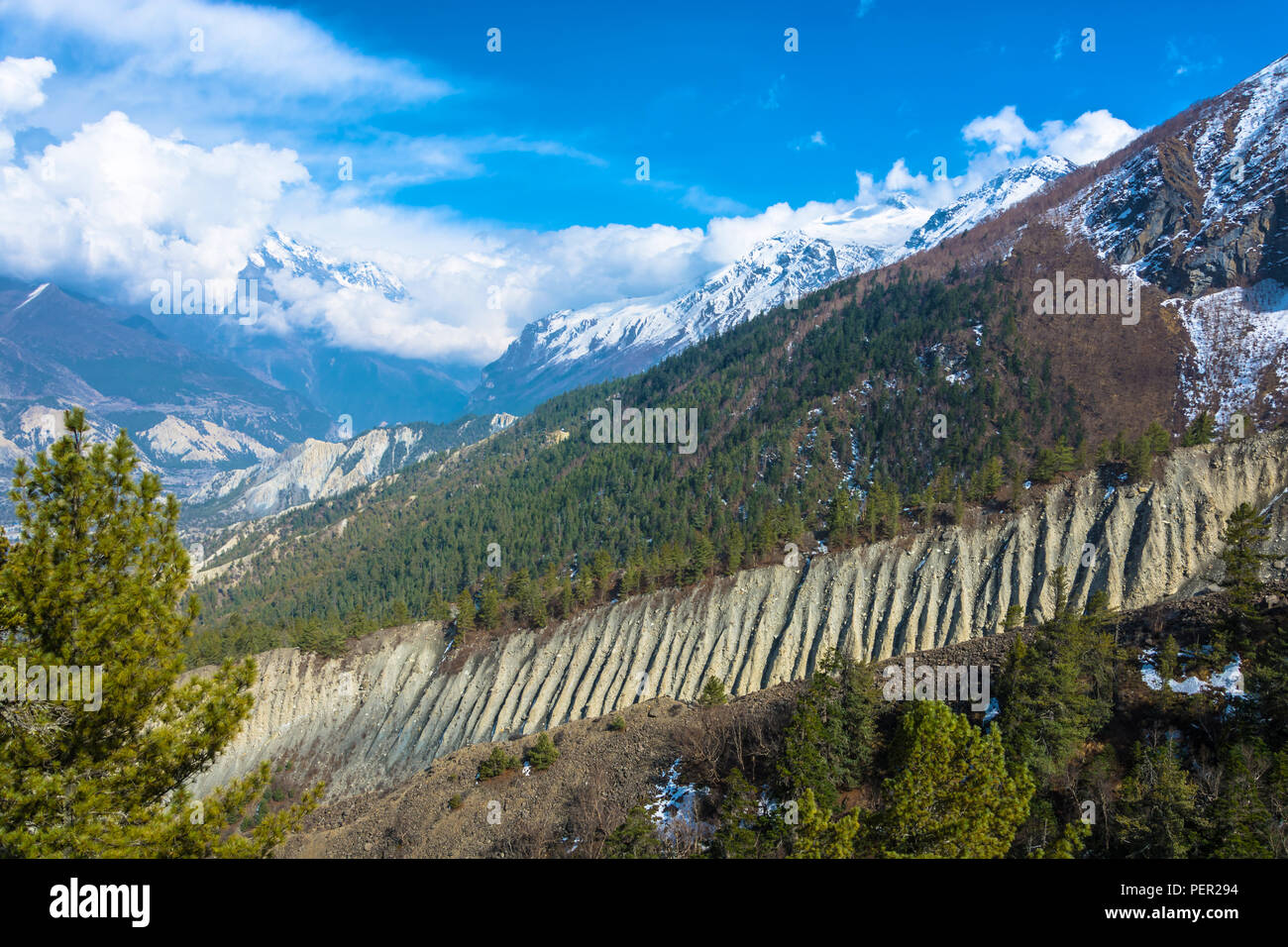 Large landslide on wooded mountainside in the Himalayas, Nepal Stock ...