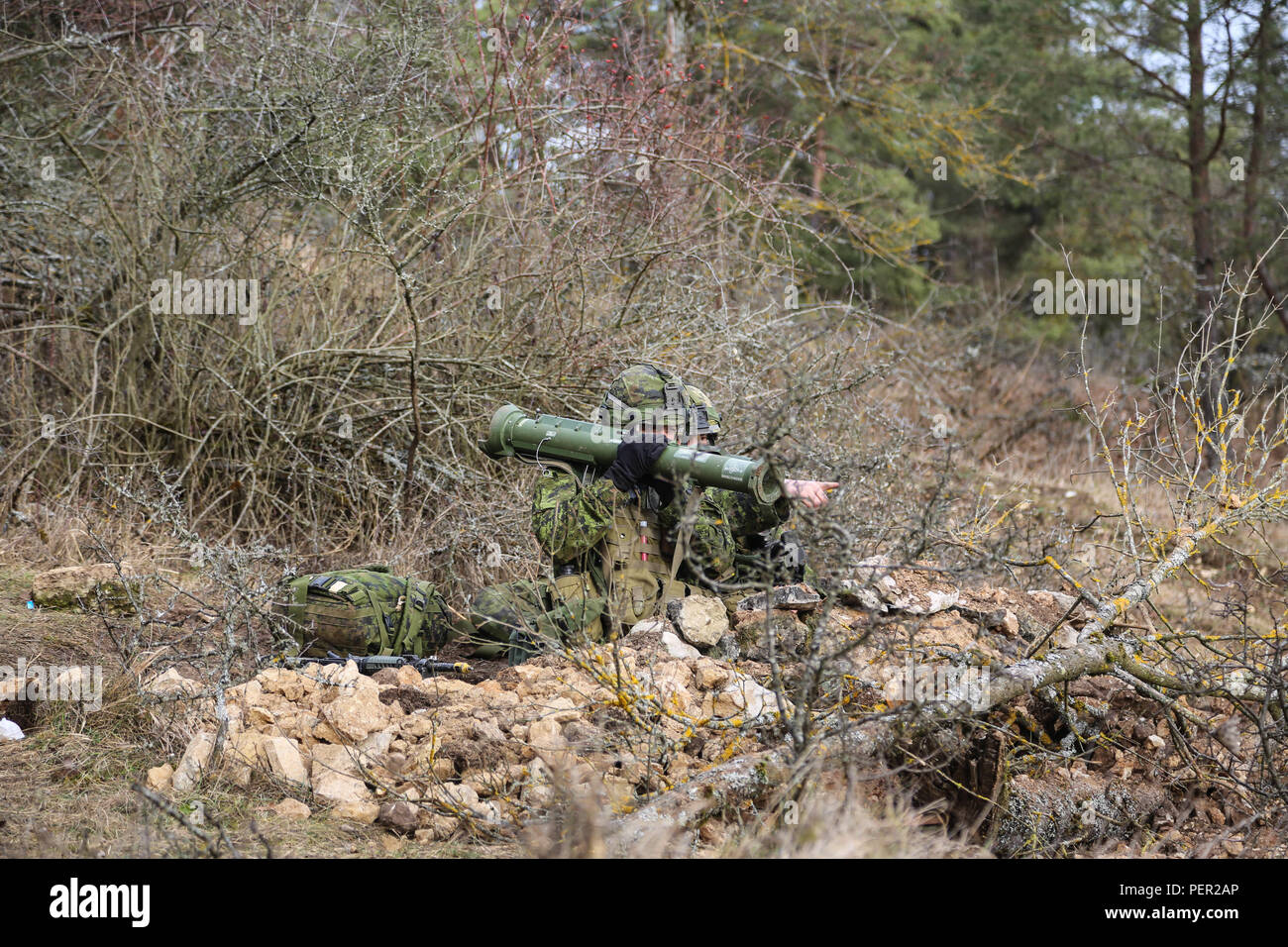 Canadian soldiers of 3rd Battalion, Royal 22nd Regiment, 5th Mechanized ...
