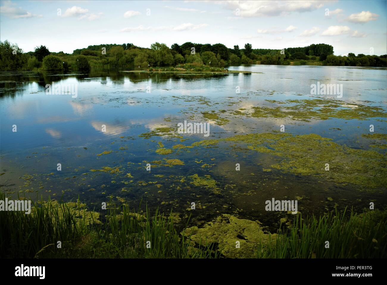 Lake view with horizon line Stock Photo - Alamy