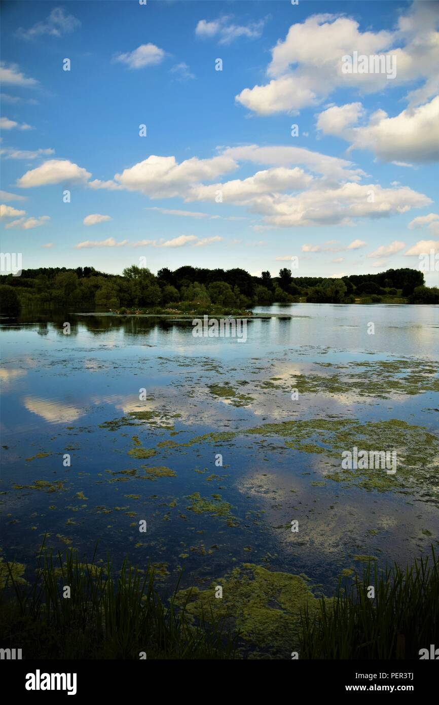 Lake view with horizon line Stock Photo - Alamy