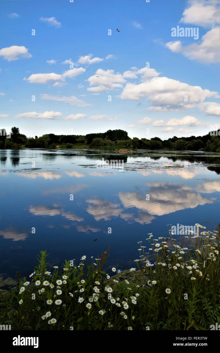 Lake view with horizon line Stock Photo - Alamy