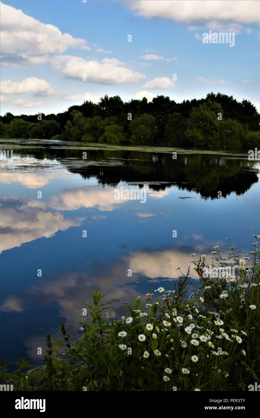 Lake view with horizon line Stock Photo - Alamy