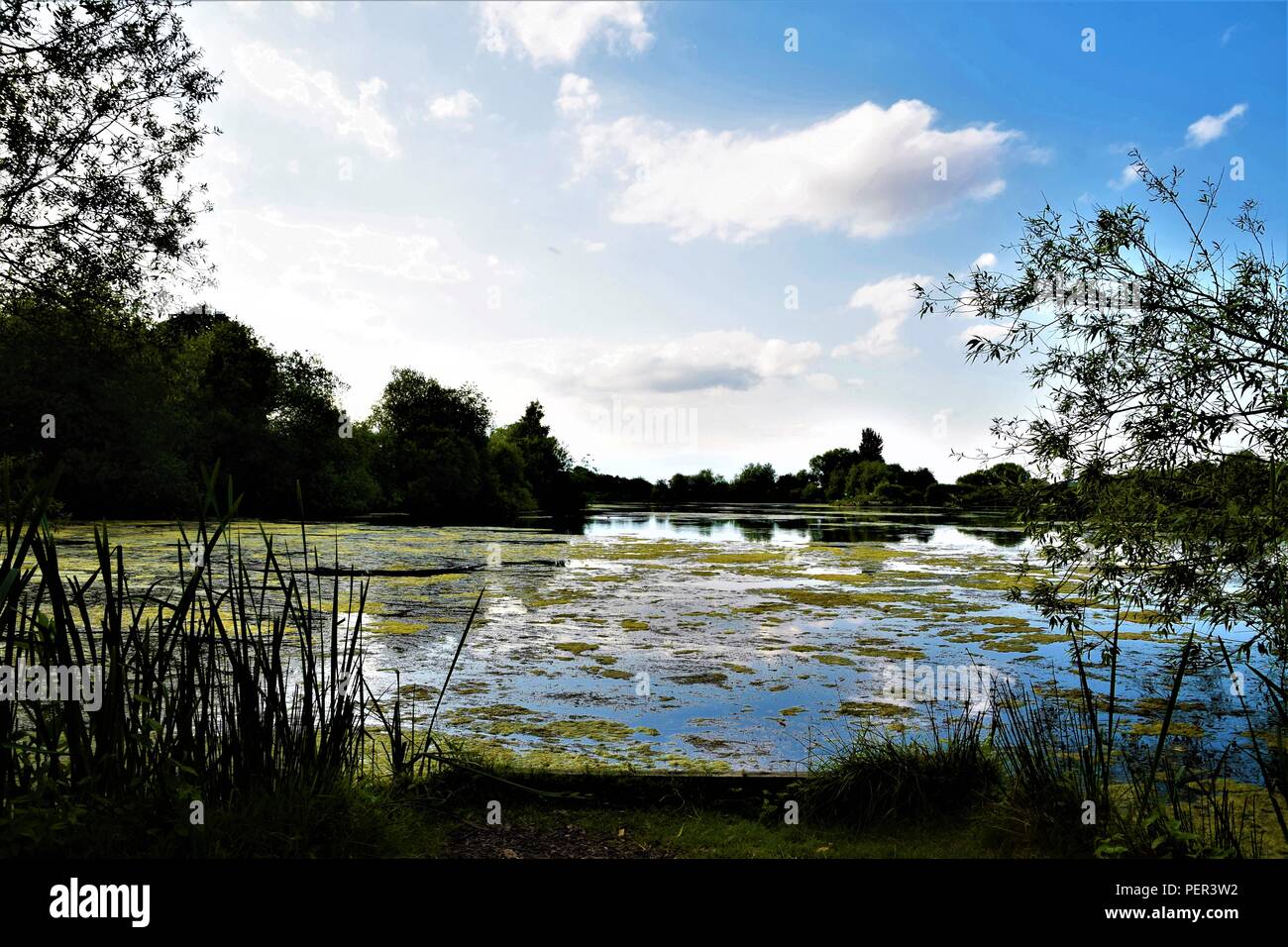 Lake view with horizon line Stock Photo - Alamy