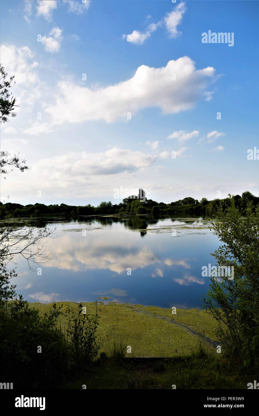 Lake view with horizon line Stock Photo - Alamy