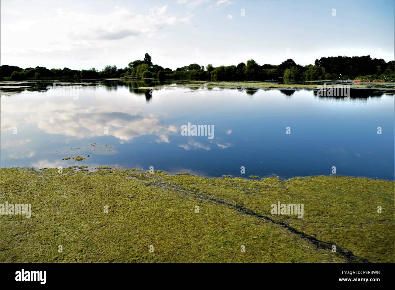 Lake view with horizon line Stock Photo - Alamy